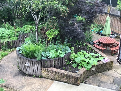 Garden renovation boosts mental wellbeing - Essex Partnership ...