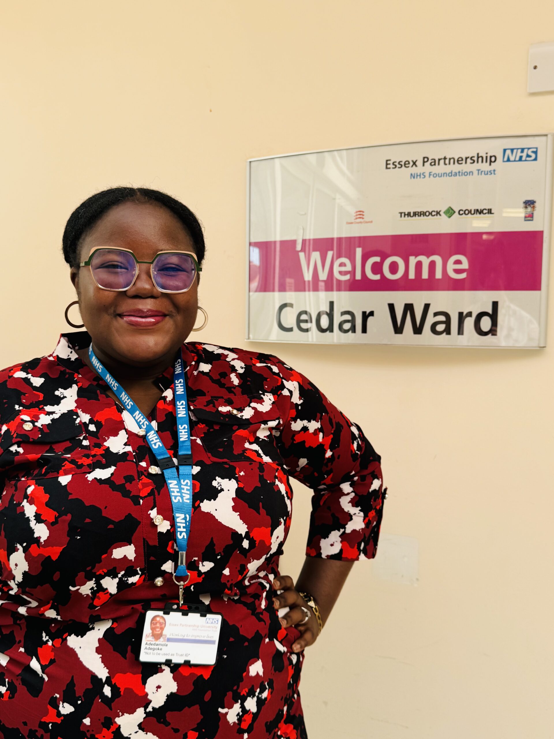 Essex NHS Trust using families to support recovery - Essex Partnership ...